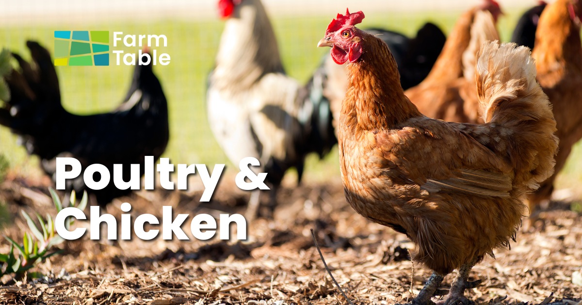 Poultry, Pigs & Chicken Archives - Farm Table