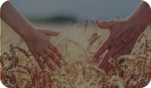 Australia's Nature Repair Market - Farm Table